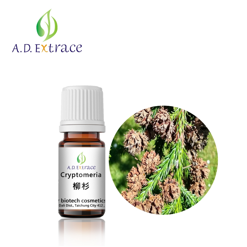 綠的故事芳香館 A.D.Extrace 》單方精油 5ml 柳杉 | 蝦皮購物