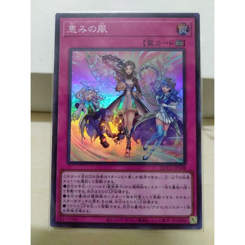 遊戲王 QCCU-JP168 恩惠之風 亮面 日紙 | 蝦皮購物