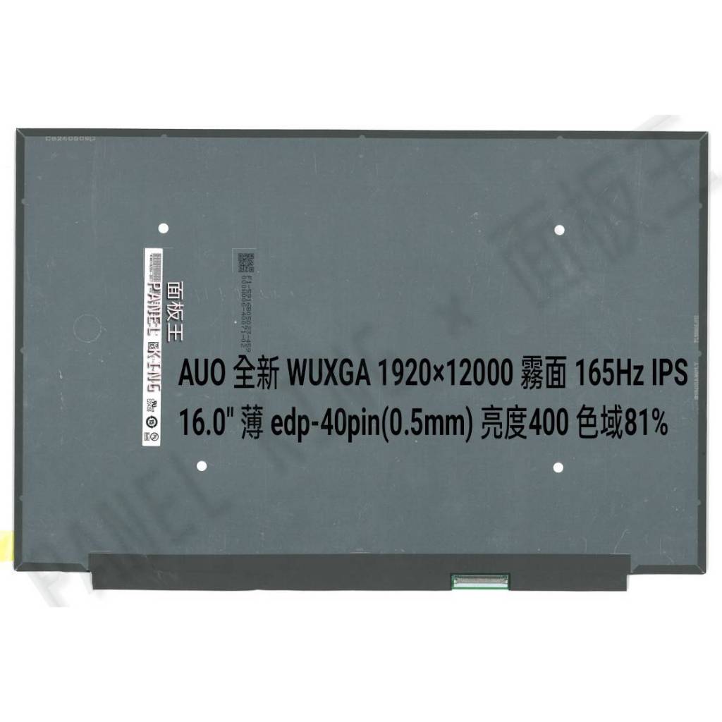 【面板王 x Panel King】B160UAN01.T 全新 WUXGA 亮度400 色域81% IPS 165Hz | 蝦皮購物