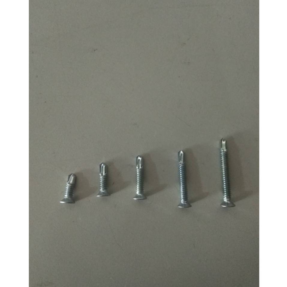 【susumy】10支售 鍍鋅皿頭自攻釘 8# 10#平頭自攻釘 平頭螺絲 鑽尾螺絲 沙拉頭 沉頭自攻自攻牙螺絲 | 蝦皮購物