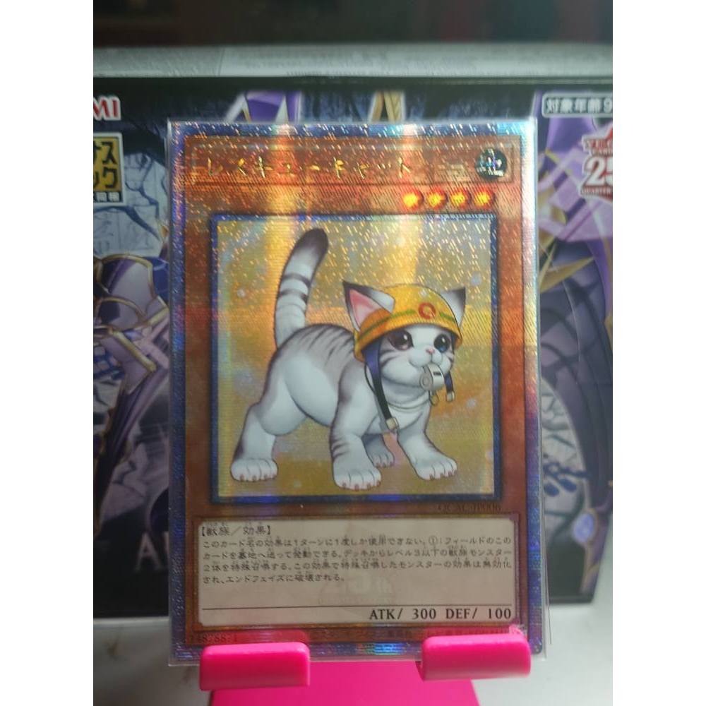 【4916小舖】遊戲王單卡 QCAC-JP006 異圖 救援貓 金鑽 | 蝦皮購物