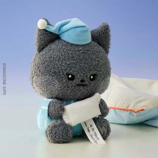 ZEROBASEONE Zeroni RICKY zb1王子吊飾 睡衣娃娃 韓維辰乾旭泰來韓彬章昊馬修 睡衣娃地雄 | 蝦皮購物