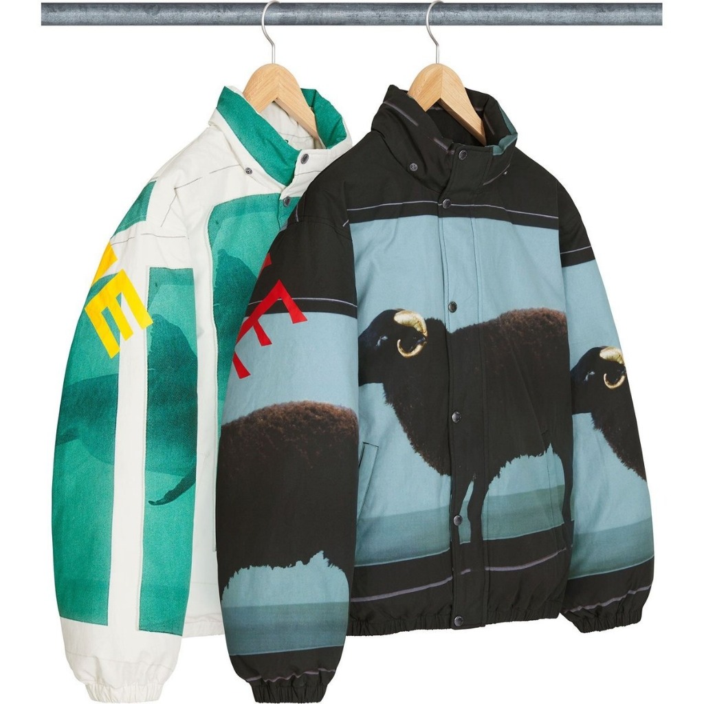 【紐約范特西】預購 SUPREME SS25 Damien Hirst Down Puffer Jacket 羽絨衣 | 蝦皮購物