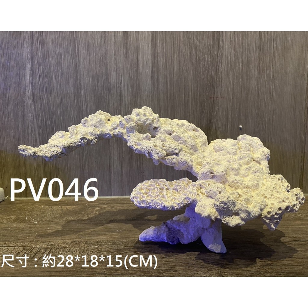 【芝麻仔】海水缸造景 編號PV046 咕咾石造景 人工造景 海水造景 水族造景 海缸造景 造景 咕咾石 水草造景 | 蝦皮購物
