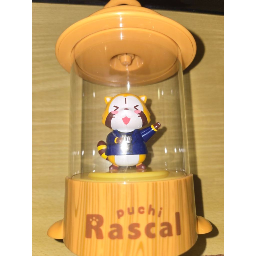 [現貨][小浣熊Puchi Rascal USB充電造型夜燈] | 蝦皮購物
