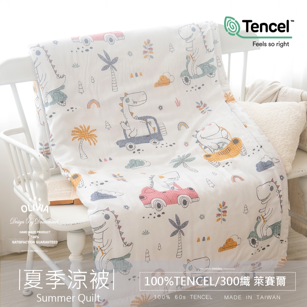 【OLIVIA 】 DR8090 侏儸紀 5尺X6尺 夏日涼被/空調被 【單件】 60支天絲 | 蝦皮購物