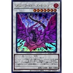 QCAC-JP003 黑玫瑰龍 (金亮) | 蝦皮購物