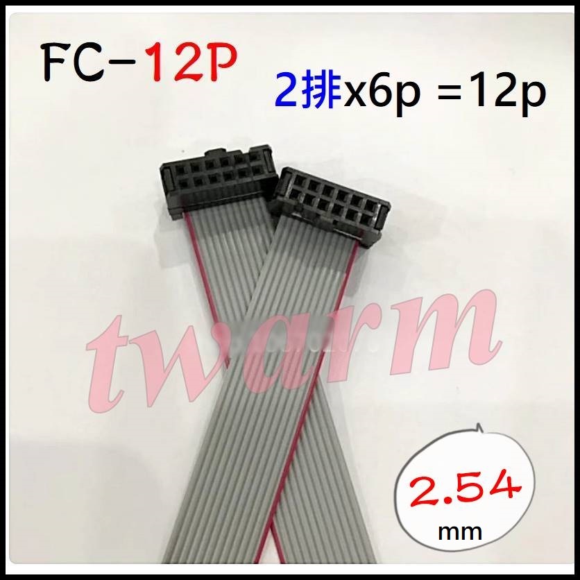 FC-12P，12Pin 10x2 2.54mm間距排線，JTAG SWD Cable 、JLINK 連接線(15cm) | 蝦皮購物