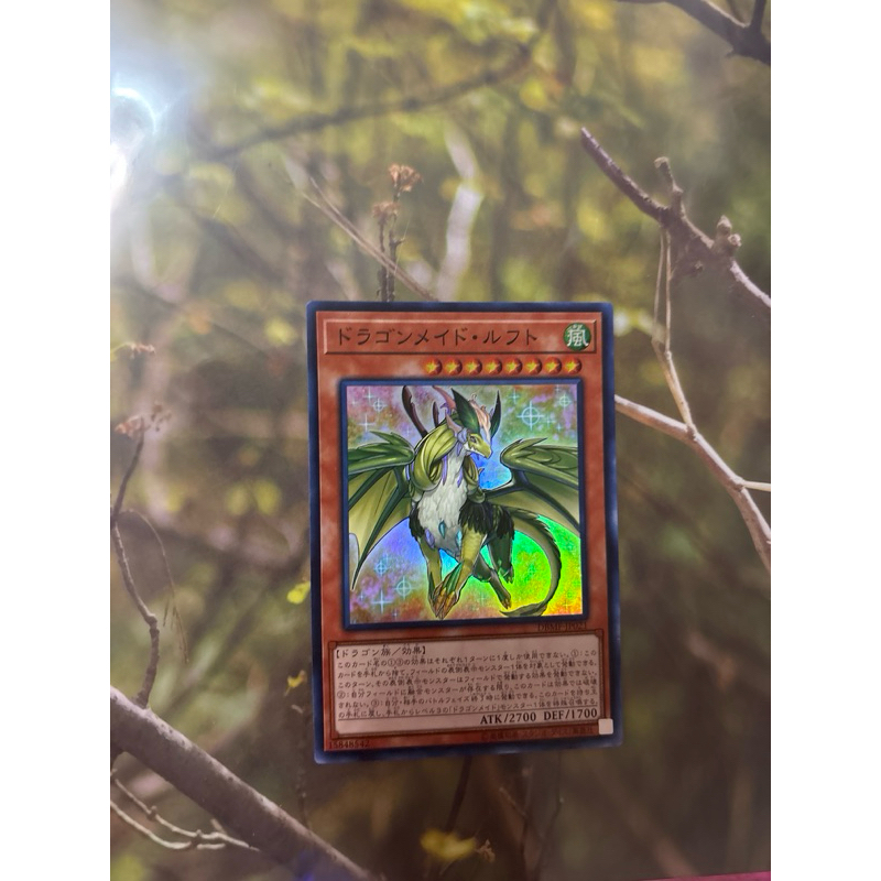 遊戲王 DBMF-JP021 龍女僕 風龍 (亮面) 滿百出貨 | 蝦皮購物