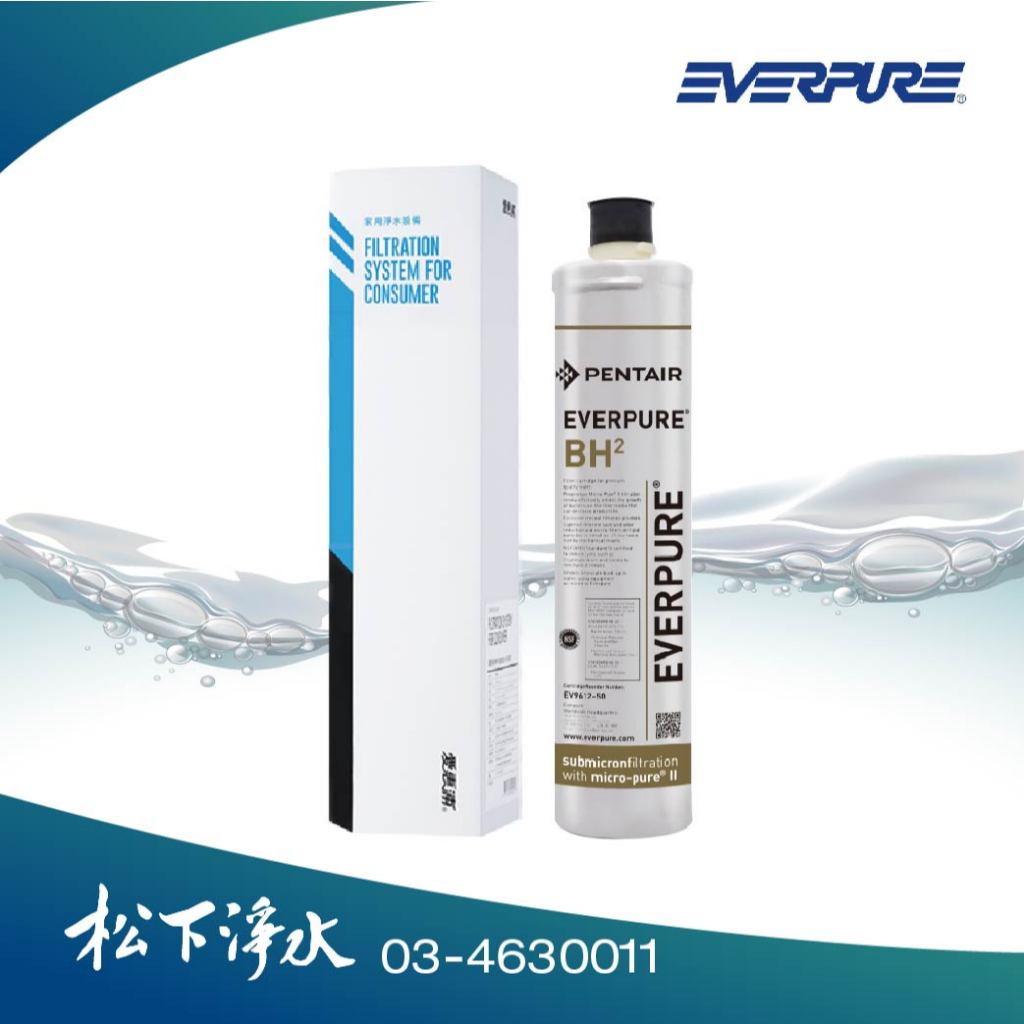 EVERPURE BH2濾心 雙溫加熱系統專用濾心(除水垢+銀離子抗菌型)【愛惠浦公司貨】 | 蝦皮購物