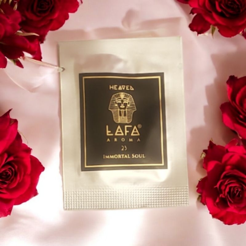 HEAVEN LAFA 天堂費洛香 二代PRO升級版 埃及金磚車用香氛 車用擴香 原廠... | 蝦皮購物