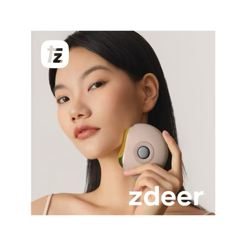 zdeer左點 |ZD-JS0201 黃銅推推儀 溫感按摩器 電動刮痧儀 刮痧儀穴道按壓溫感全身 導入儀 | 蝦皮購物