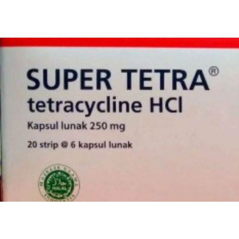 Super Tetra | 蝦皮購物