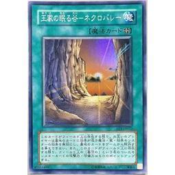 【DCT_緣夢の城2】遊戲王 EE1-JP032 王家長眠谷 亮面 90-95分 | 蝦皮購物
