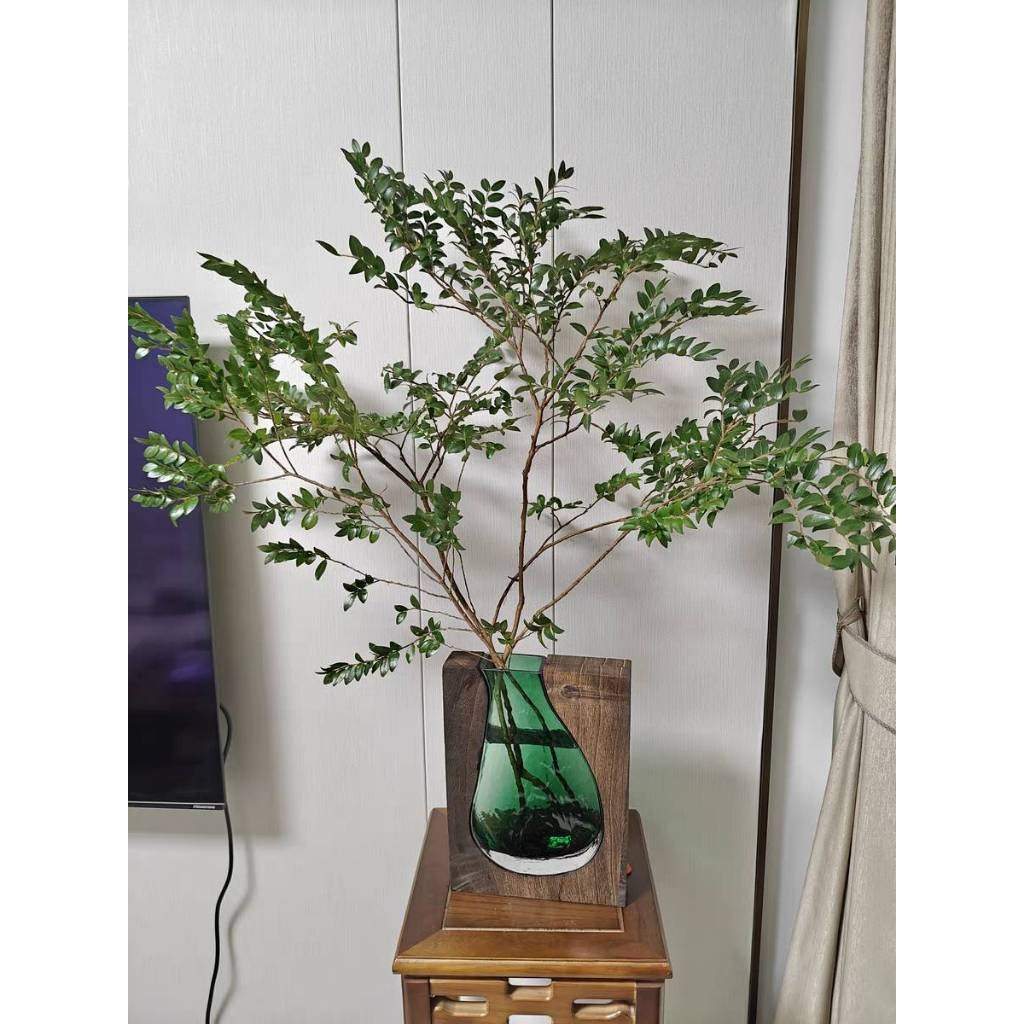 【台灣現貨】日式原木玻璃花瓶 24h出貨 插花 家居 家飾擺件 乾燥花 鮮花 ins花瓶 水培 玫瑰 花器 宅寂風 | 蝦皮購物