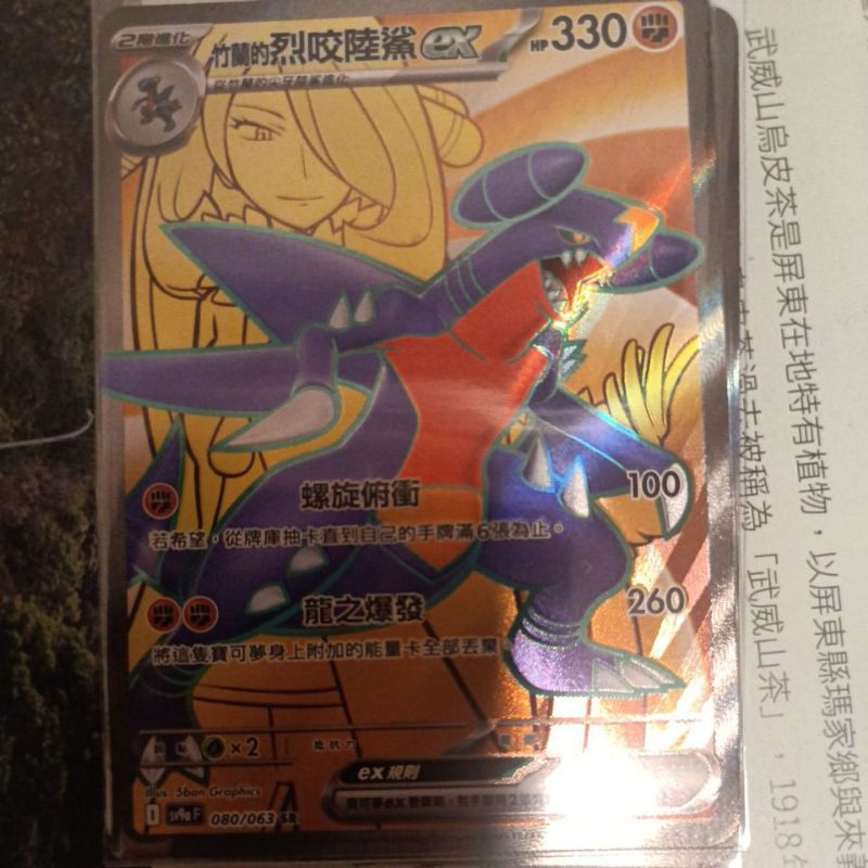 ptcg 寶可夢 中文版 熱風競技場 竹蘭的烈咬陸鯊 ex 080/063 sr | 蝦皮購物