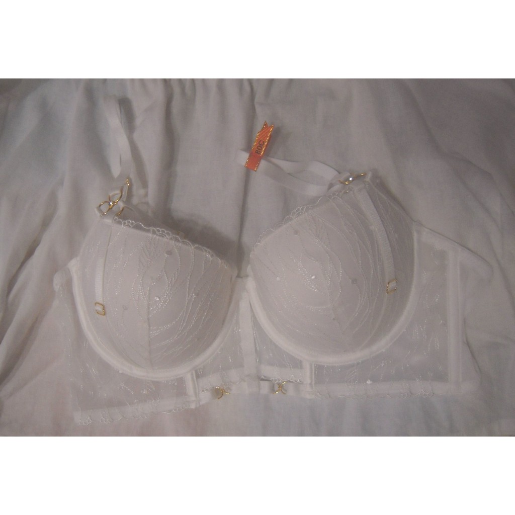 L'adoore 蕾朵兒 寂靜夜空 微馬甲上托包覆內衣 (白）80C 單內衣 全新，吊牌未拆 | 蝦皮購物