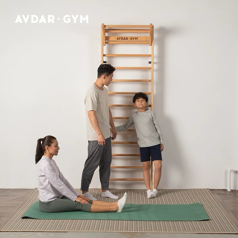 AVDAR Gym 兒童遊戲運動肋木架 | 蝦皮購物