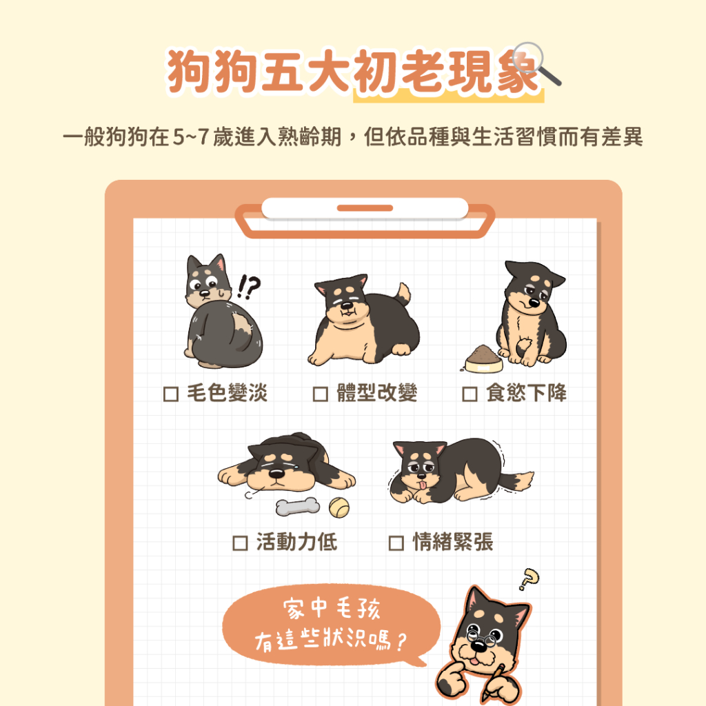 【汪喵星球】熟齡犬95%低鈉無膠主食罐 整箱80g&165g 老狗罐 狗主食 | 蝦皮購物