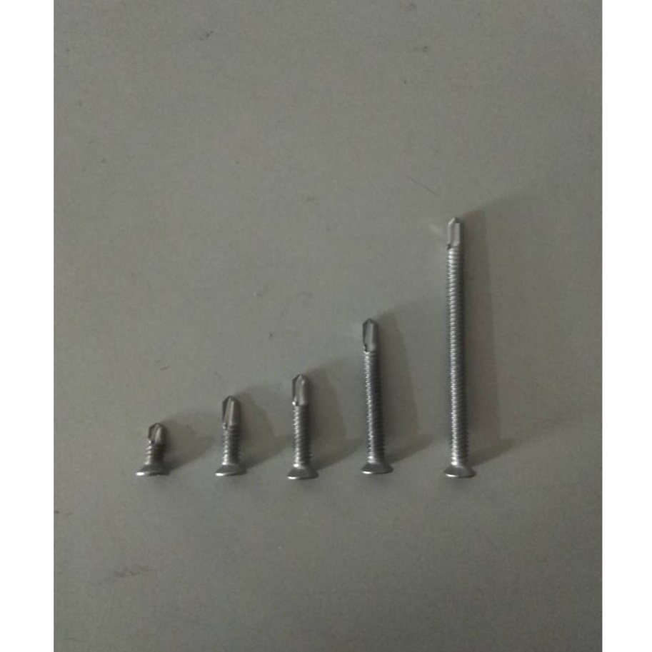 【susumy】10支售 不鏽鋼 白鐵皿頭自攻釘 8#平頭自攻釘 平頭螺絲 鑽尾螺絲 沙拉頭 自攻牙螺絲 8# | 蝦皮購物
