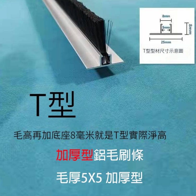 現貨【susumy】 工業防塵條 T H型 鋁毛刷門底條 鋁合金 尼龍絲條刷 門縫門底 門窗刷條 縫隙 窗戶密封條 | 蝦皮購物