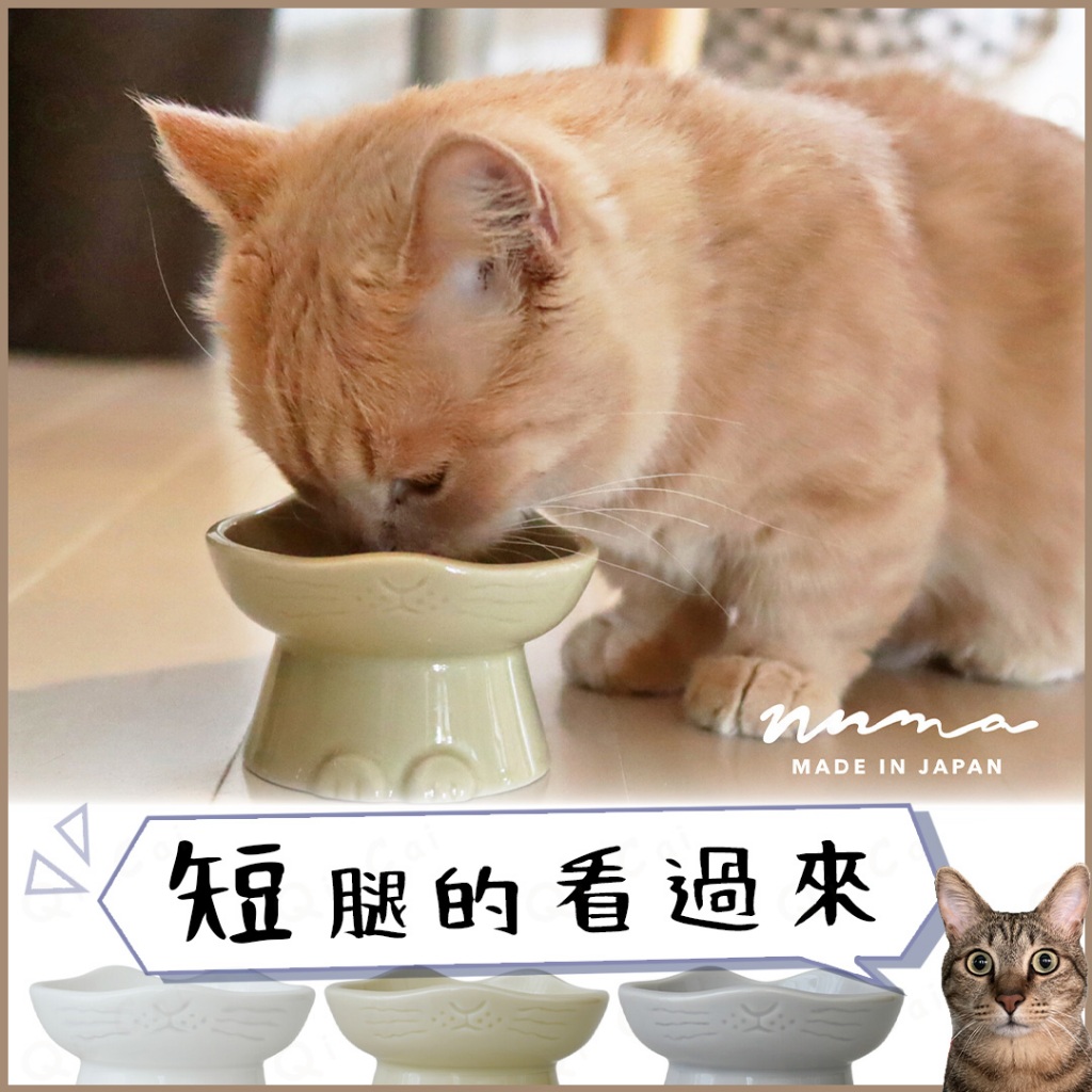 【nnma】日本美濃燒貓咪高腳碗 幼貓專用 陶瓷防黑下巴【可微波/洗碗機】寵物碗 飼料碗 零食碗 點心碗 貓奴禮物 | 蝦皮購物