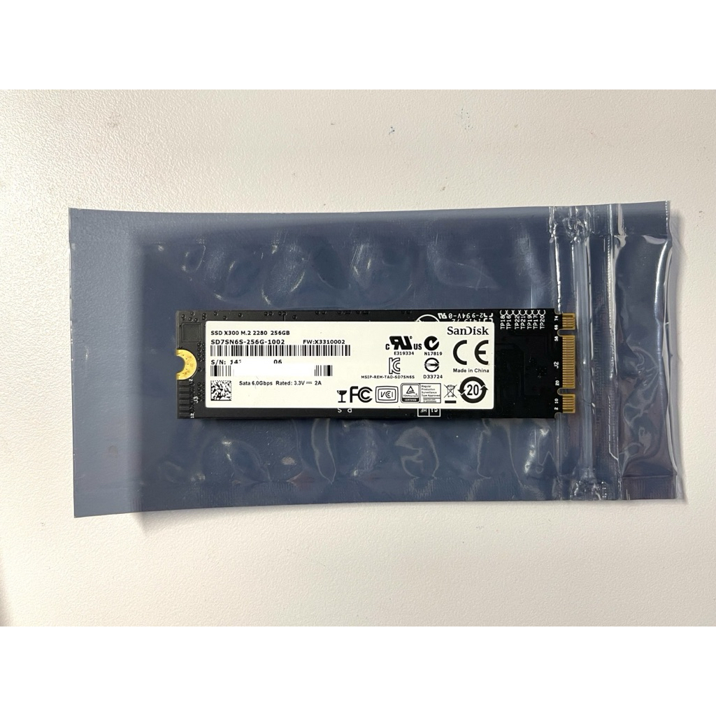 sandisk X300 256G NGFF SATA | 蝦皮購物