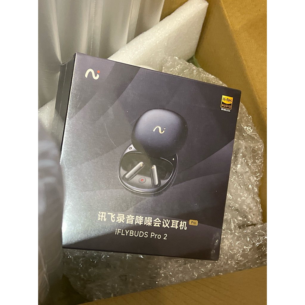科大訊飛 會議錄音機 iFLYBUDS Pro 2 | 蝦皮購物
