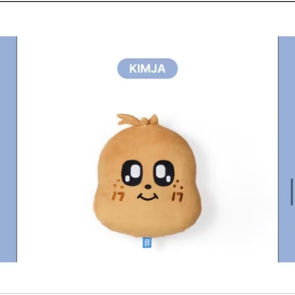 SEVENTEEN MINITEEN KIMJA 金珉奎 抱枕 | 蝦皮購物