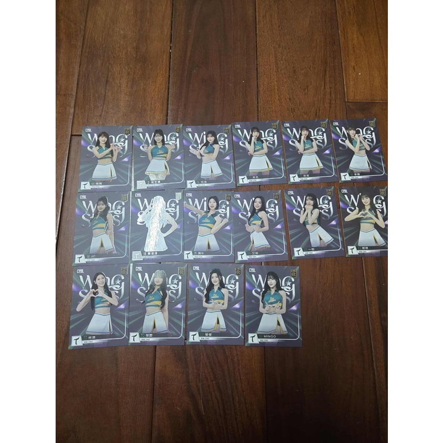 2024 中華職棒 年度球員卡 啦啦隊 台鋼雄鷹 Wing Stars 一粒 安芝儇 圈圈 李樂 MINGO | 蝦皮購物