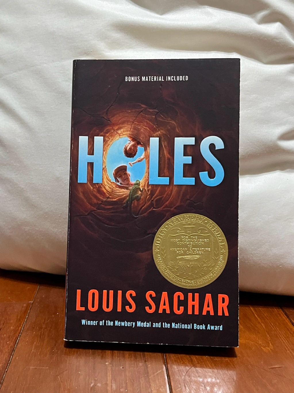 Holes by Louis Sachar | 蝦皮購物