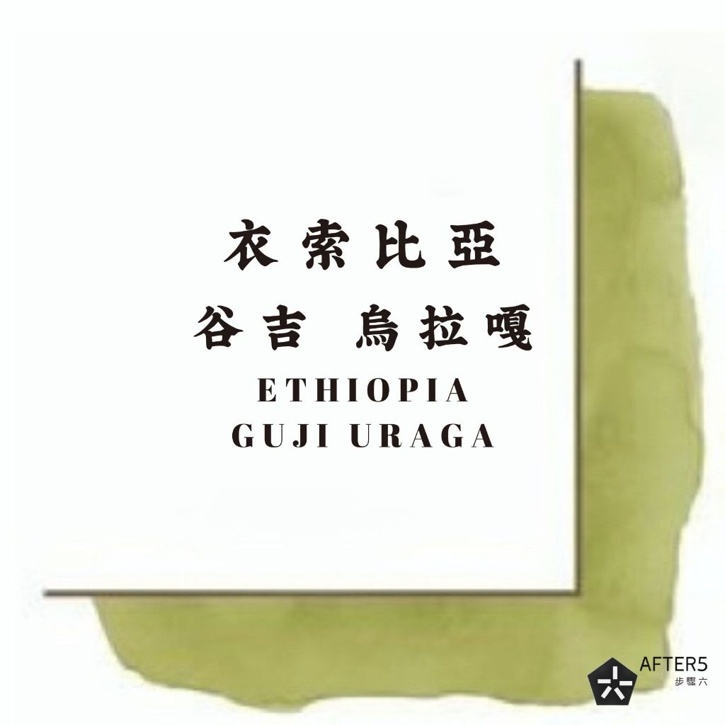 AFTER5步驟六｜衣索比亞 谷吉 烏拉嘎 Ethiopia Guji Uraga｜單品咖啡豆 | 蝦皮購物