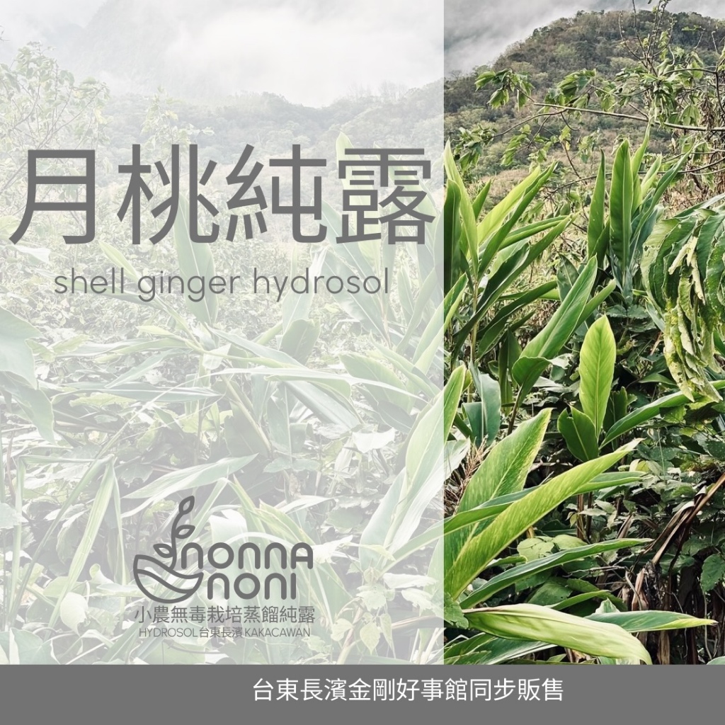Nonna Noni 〗長濱農會超市上架 月桃純露 shell ginger hydrosol | 蝦皮購物