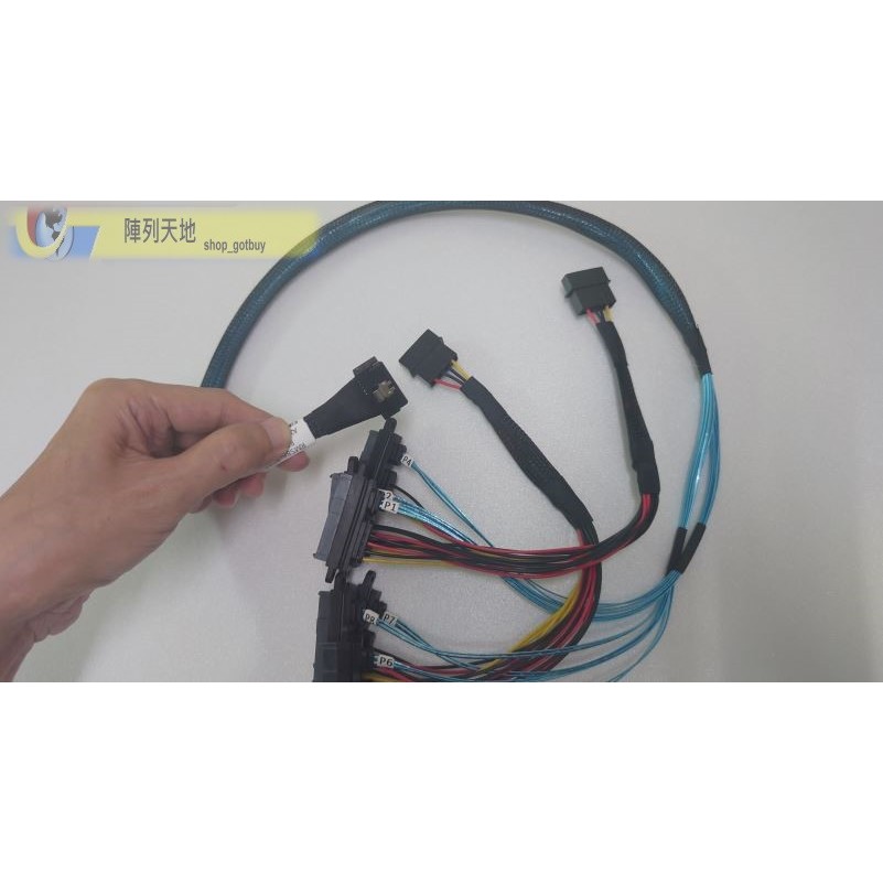 全新 SlimSAS SFF8654 LP 8i 數據線 可接 8SATA 或 8SAS | 蝦皮購物
