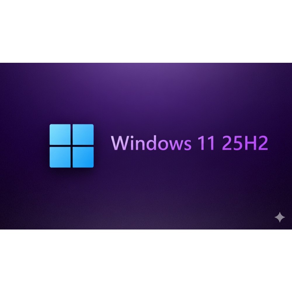 WIN11-25H2(最新版)、23H2(速度最快版)、TINY11&NANO11-25H2 全新重灌隨身碟 | 蝦皮購物
