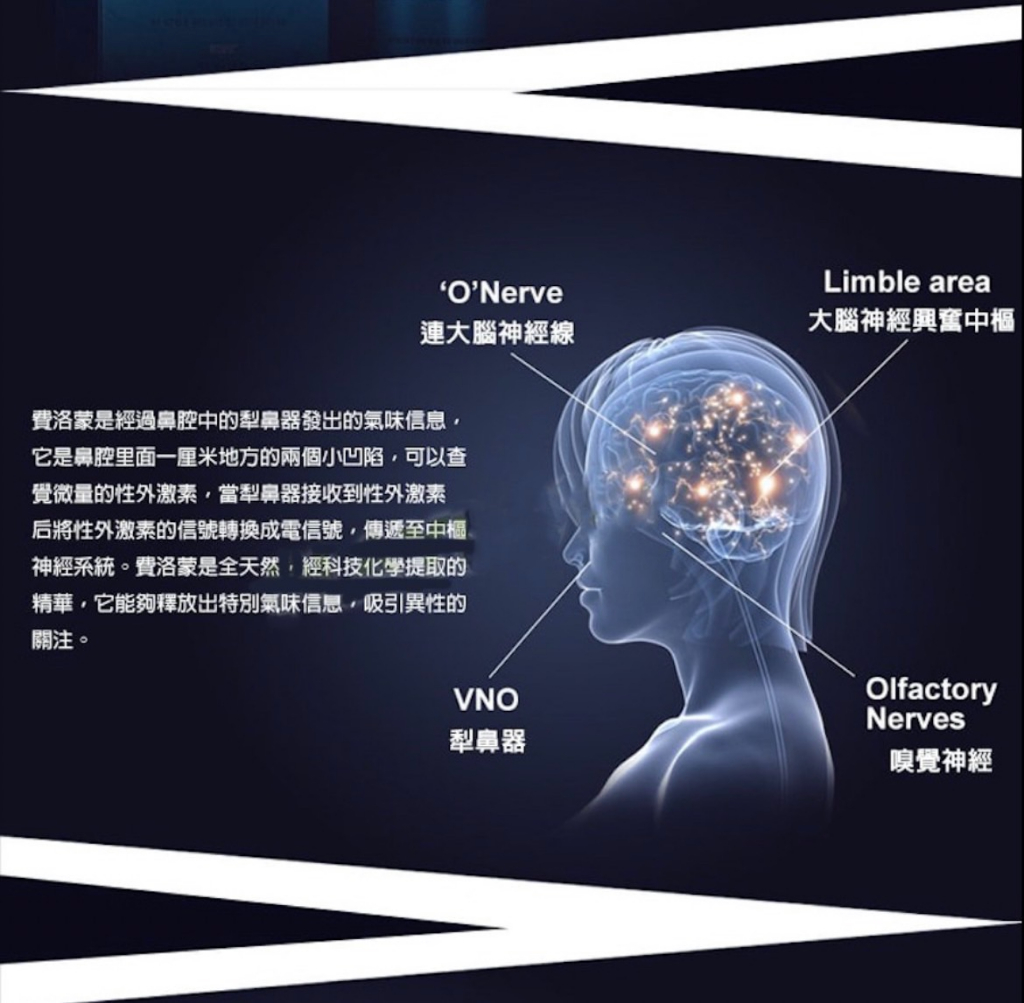 現貨 MOVO Tease費洛蒙香水 3ml/80ml 女用/男用 香氛 香精 | 蝦皮購物