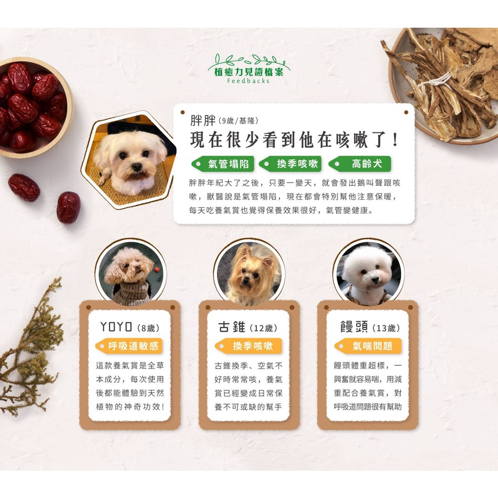 艾爾發寵物｜Maoup 毛起來 毛孩每日健康賞 呼吸道養氣賞 草本複方 呼吸道健康 氣管保健 1g x 30 條 / 包 | 蝦皮購物