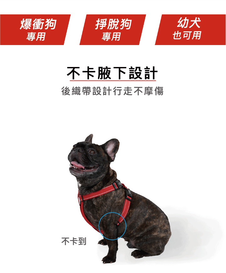 【myne寵好選物】澳洲EZYDOG狗體工學胸背帶附送原價300元車用安全束綁帶幼犬貓咪可使用 | 蝦皮購物