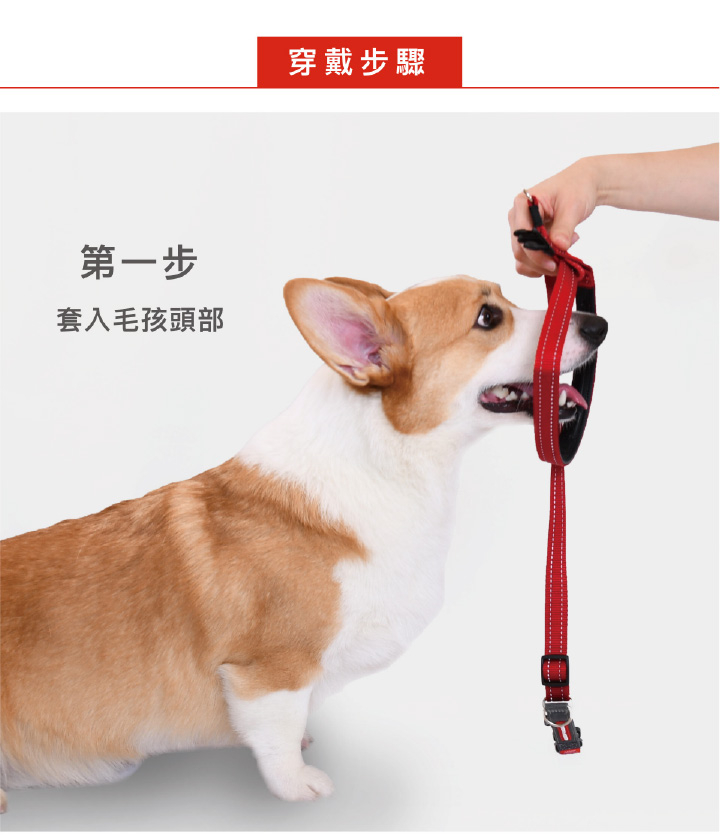 【myne寵好選物】澳洲EZYDOG八字訓練胸背帶不卡腋下反光設計貓狗皆適用 | 蝦皮購物