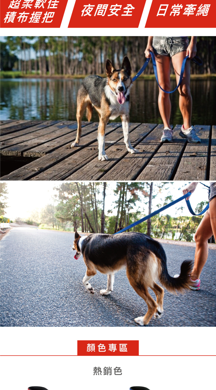 澳洲 EZYDOG E牽繩 120cm 寵物牽繩 反光條設計 貓狗適用 狗牽繩 貓牽繩【寵物主義】 | 蝦皮購物