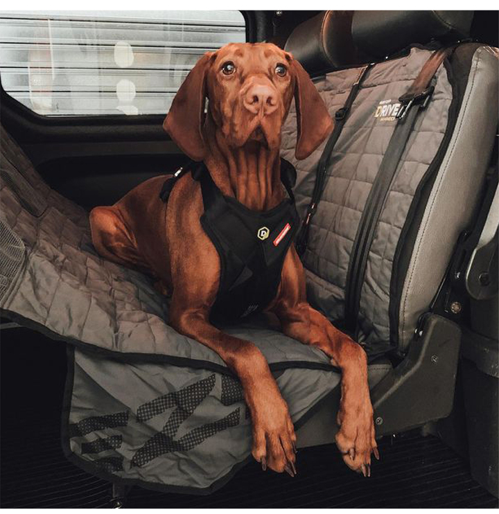 【myne寵好選物】澳洲EZYDOG全方位車用防護U型座墊座椅底部防滑背襯簡單好拆裝 | 蝦皮購物