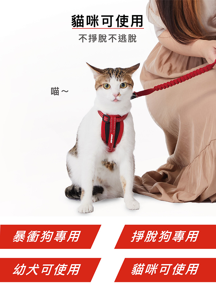 【myne寵好選物】澳洲EZYDOG狗體工學胸背帶附送原價300元車用安全束綁帶幼犬貓咪可使用 | 蝦皮購物