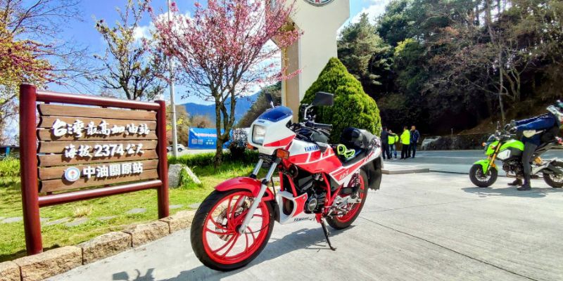 二行程機油 2T機油 蓖麻油.2T.追風.DIO.BWS.NSR.王牌.DT.RZX.RZR.偉士牌.雄獅B1 | 蝦皮購物