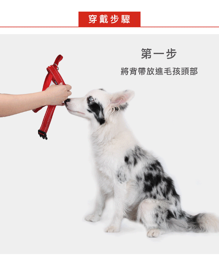 【myne寵好選物】澳洲EZYDOG快套式胸背帶不卡腋下舒適透氣狗用 | 蝦皮購物