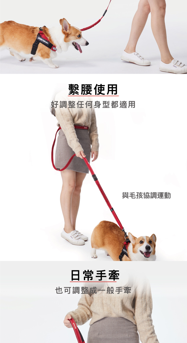 澳洲 EZYDOG 跑步牽繩 210cm 寵物牽繩 免手牽 反光牽繩 減緩拉力 貓狗適用 狗牽繩 貓牽繩【寵物主義】 | 蝦皮購物