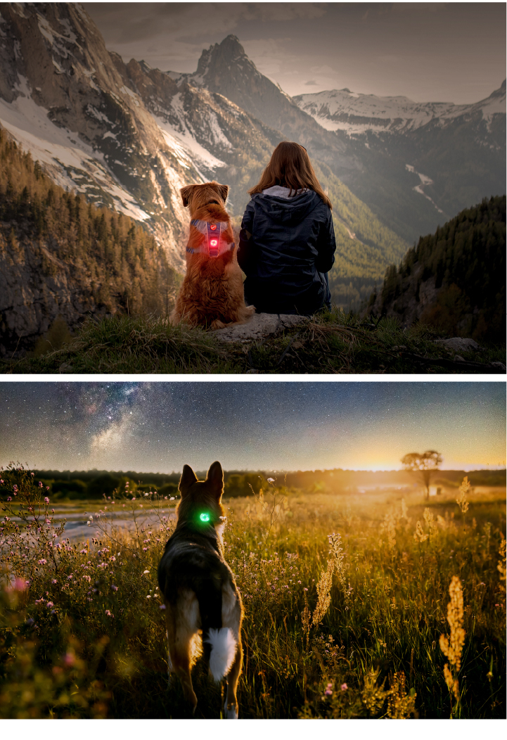 【Myne寵好選物】澳洲EZYDOG系列GO2寵物夜間多色警示燈500米能見度防水防撞 | 蝦皮購物