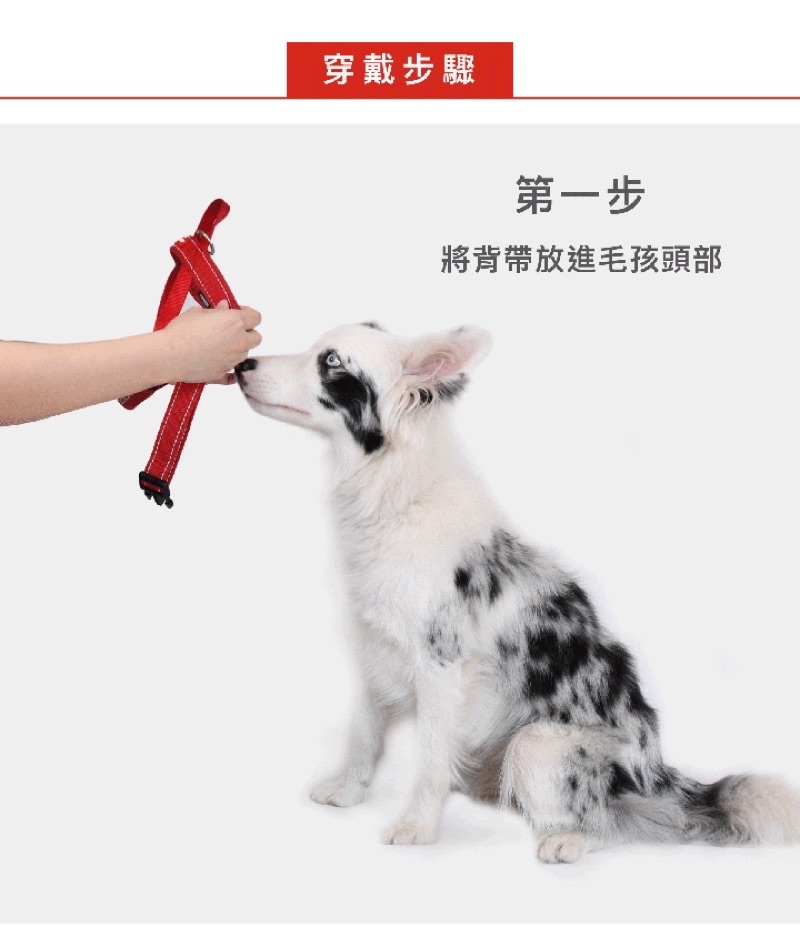 【澳洲EzyDog】快套式 胸背帶 XXS~XL 2秒穿帶 不卡腋下 舒適透氣 羽量設計 舒適內襯 夜間安全 | 蝦皮購物