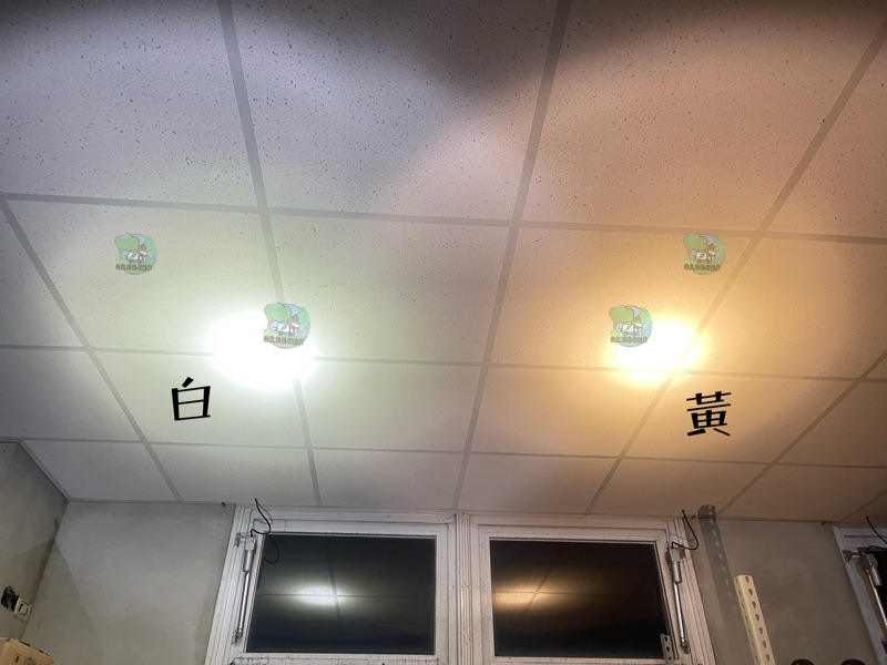 🌿園藝人🌿汎球牌8D09 LED兩段式遠照頭燈 汎球牌頭燈8d09 地表最強頭燈 頭燈 led 頭燈 綠光 頭燈 登山 | 蝦皮購物