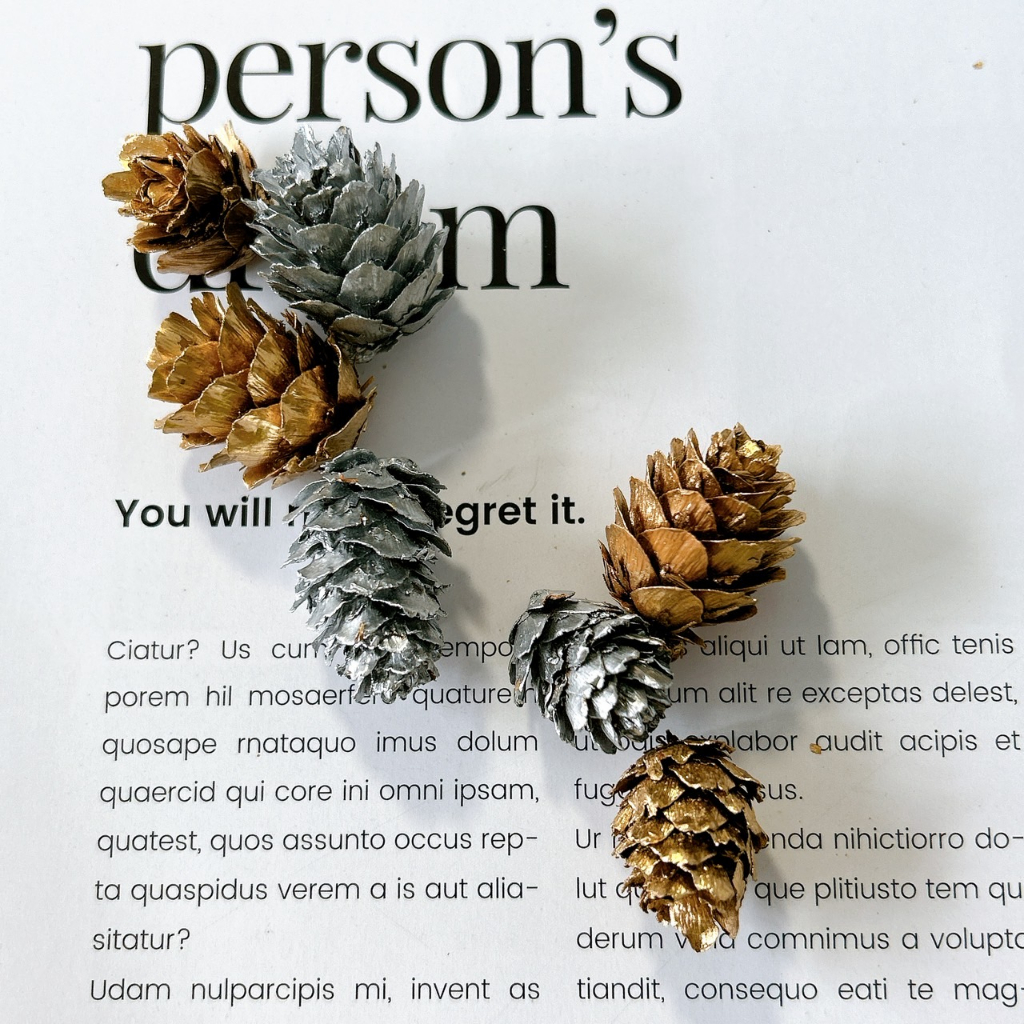 落葉松果 松果 乾燥果實 ☆ VITO zakka ☆ 花材 拍攝道具 DIY創作 手做材料 果實 花圈材料 | 蝦皮購物