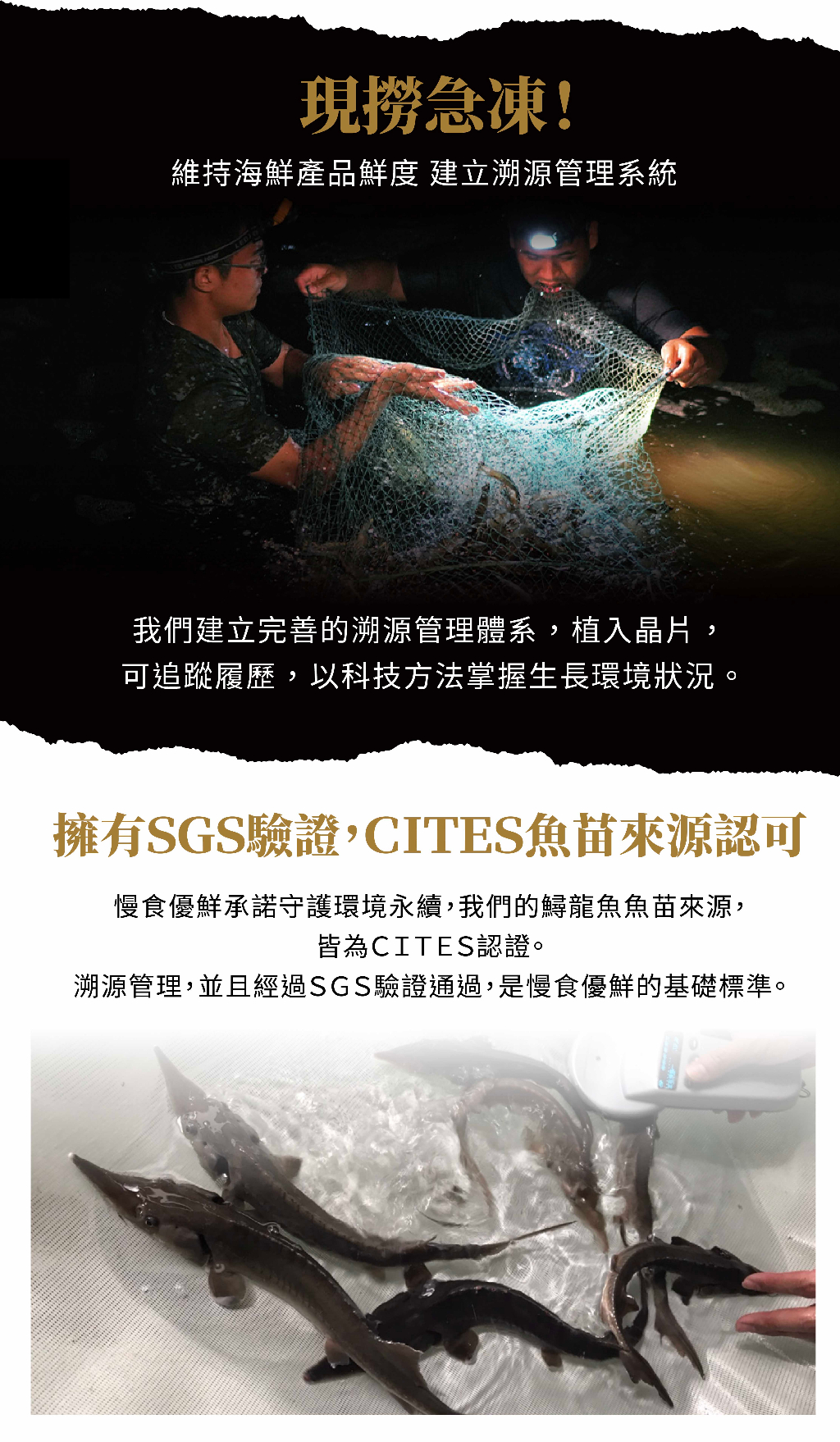 【慢食優鮮】鱘龍魚XO醬 210g 常溫 三入一組 無防腐劑 干貝搭配辣椒炒足 拌菜 拌飯 營養健康 母親節送禮 | 蝦皮購物